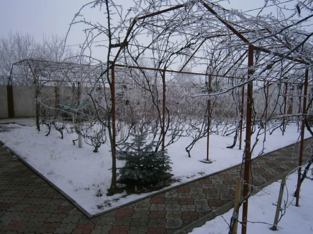 Realizare boltă pentru vița de vie - Pagina 2 - Anexe de tot felul ...